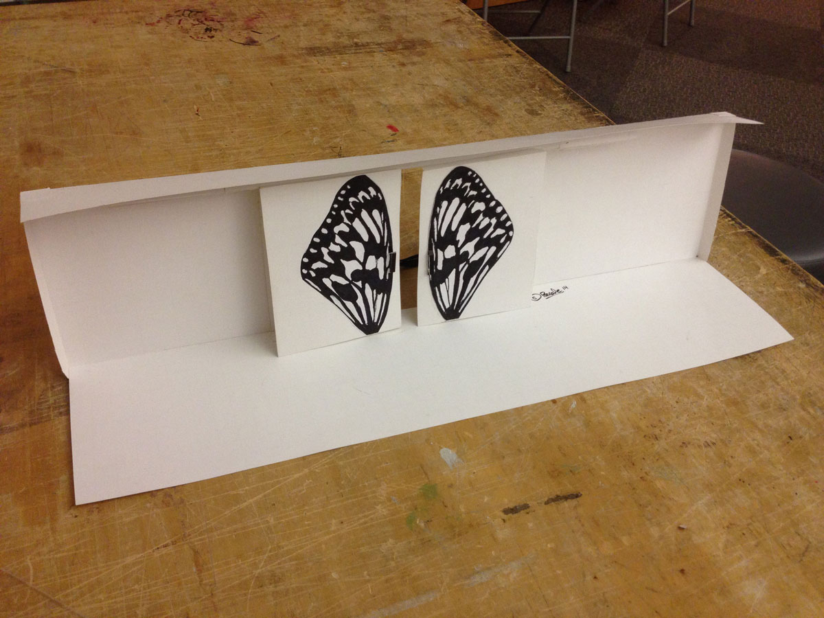 Butterfly Doors | SPARK! Dallas