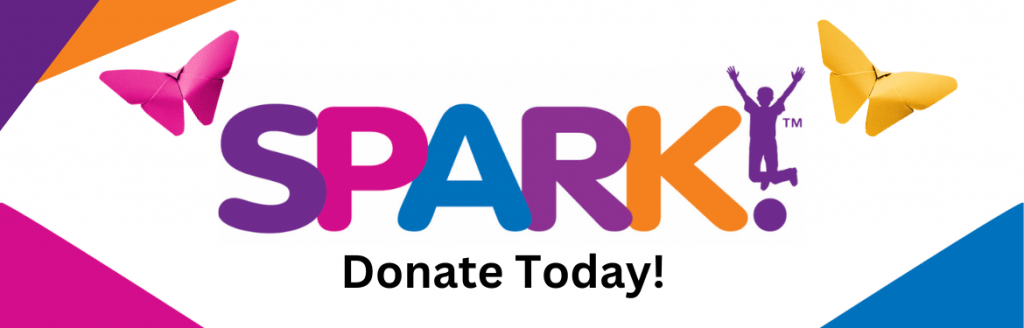SPARK! Dallas | A 501(c)(3) Non-Profit Igniting Creativity in Children